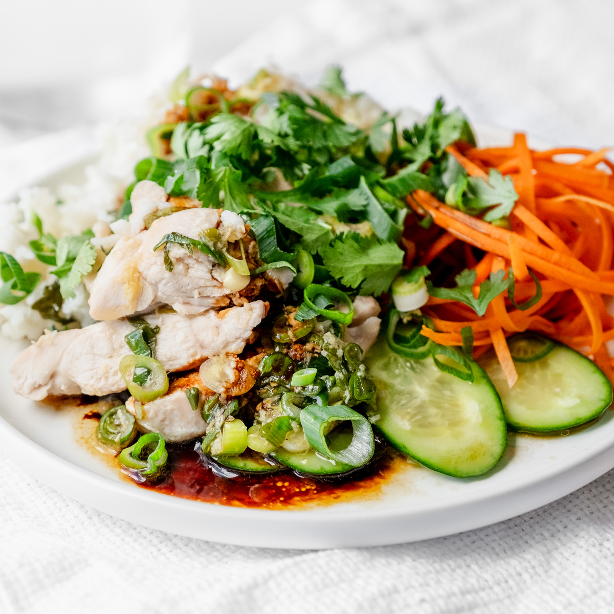 Rice Cooker Chicken Rice - One Pot Hainanese Rice - The Dinner App